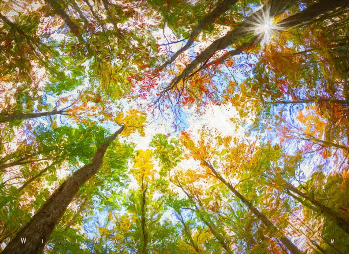 5 Tips for Beautiful Fall Photography | Will Moneymaker Photography