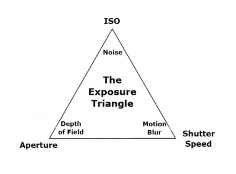 ISO: Photography Fundamentals | Will Moneymaker Photography