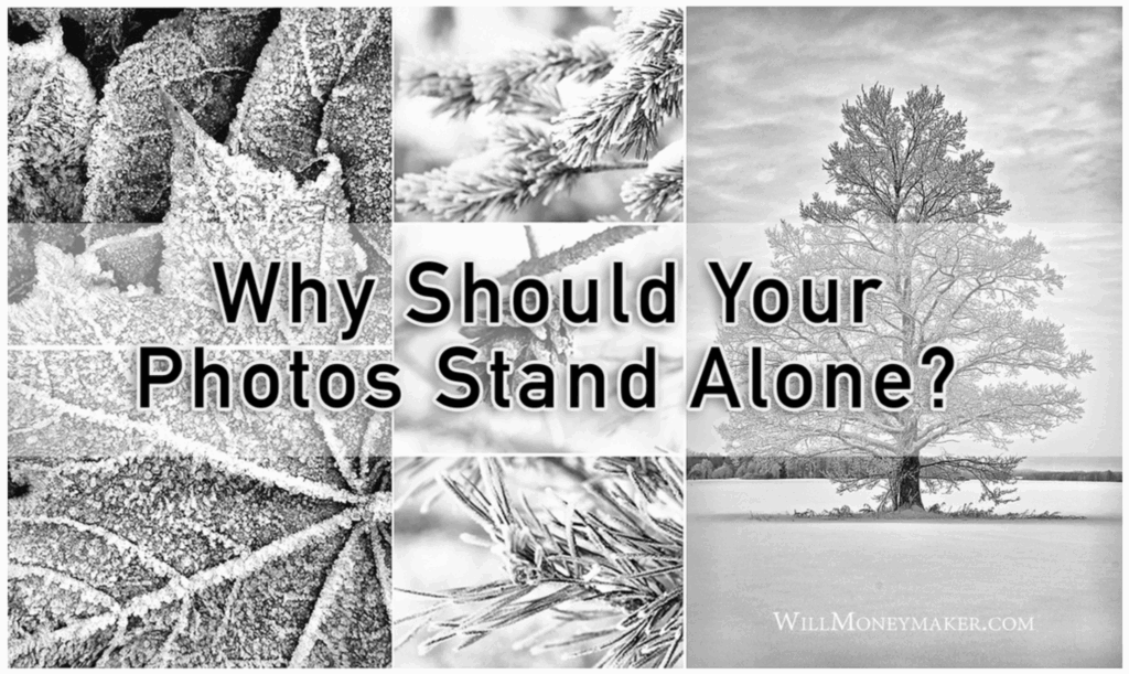 Why Should Your Photos Stand Alone? | Will Moneymaker Photography
