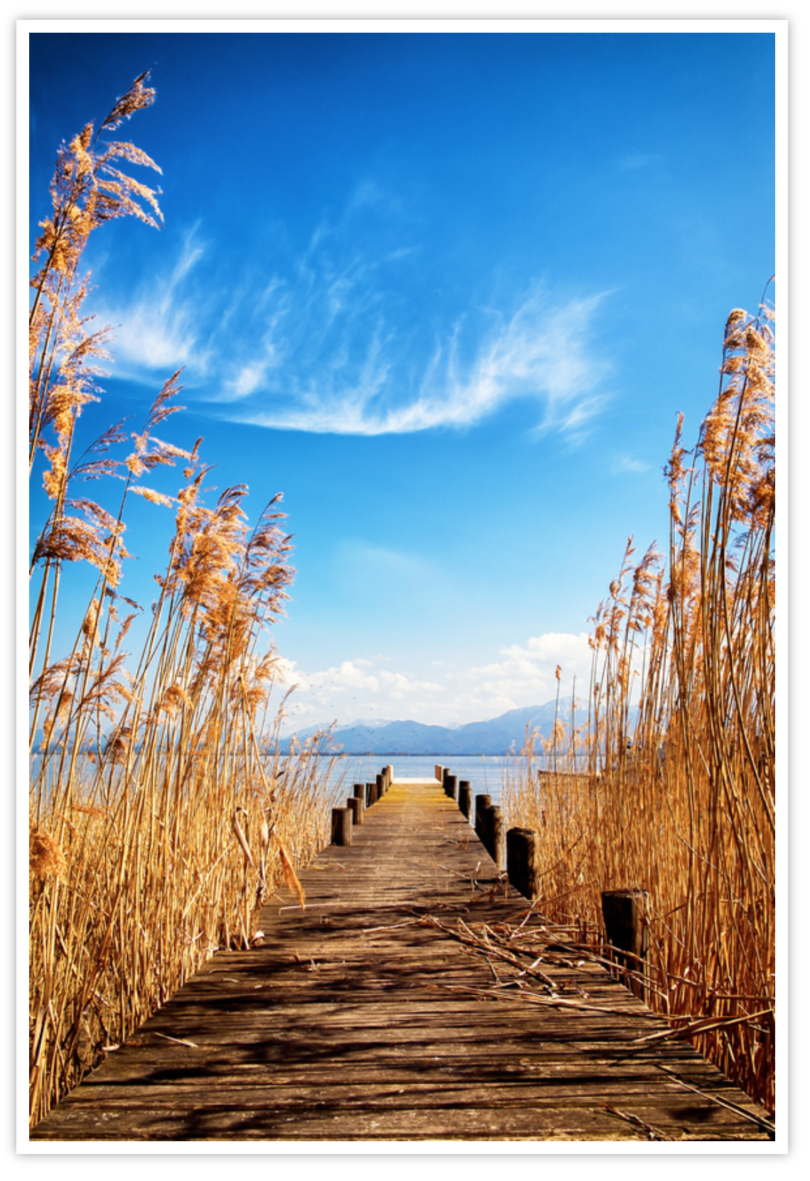 How the Right Tones Effect Your Photographs | Will Moneymaker Photography