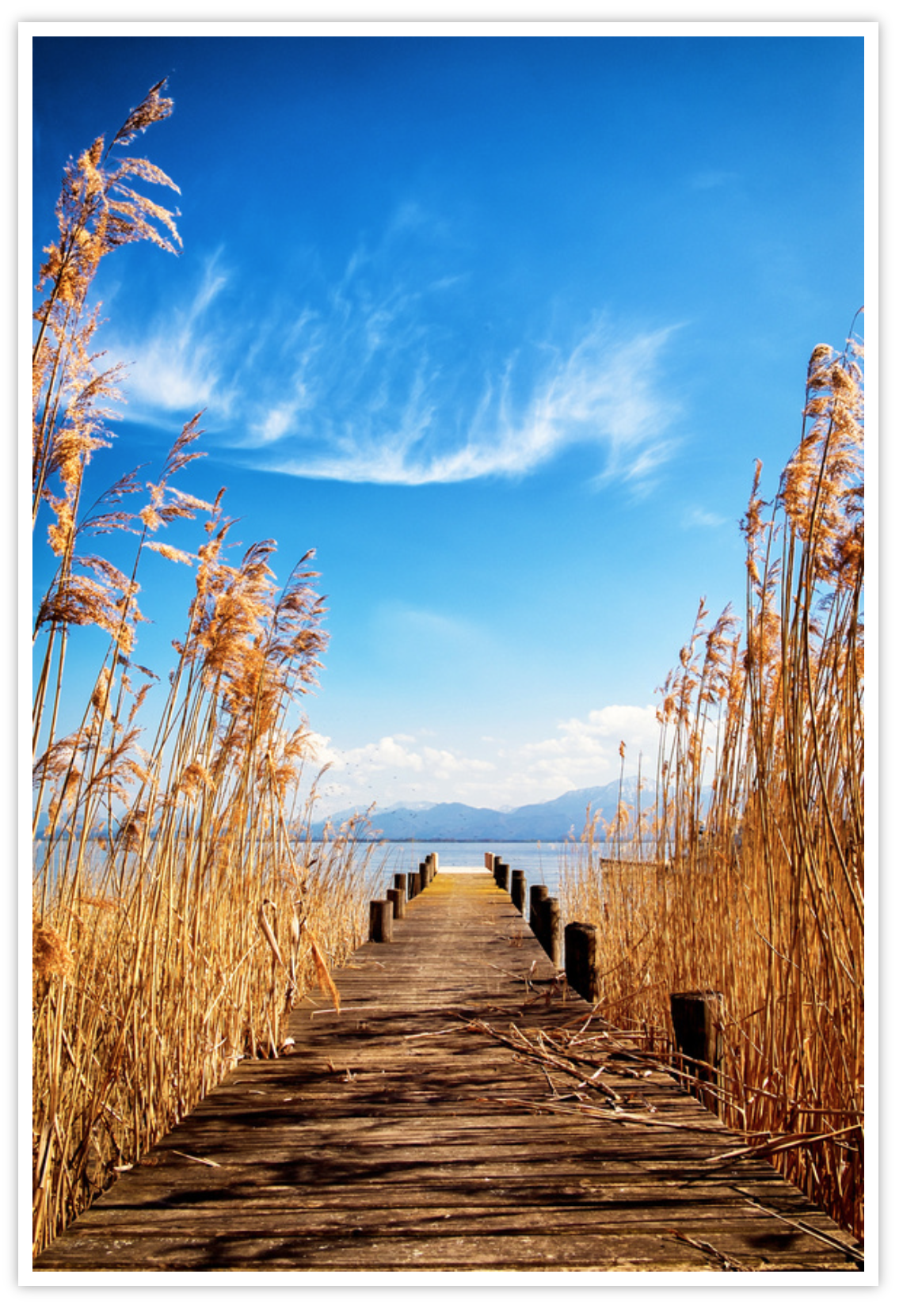 How the Right Tones Effect Your Photographs | Will Moneymaker Photography