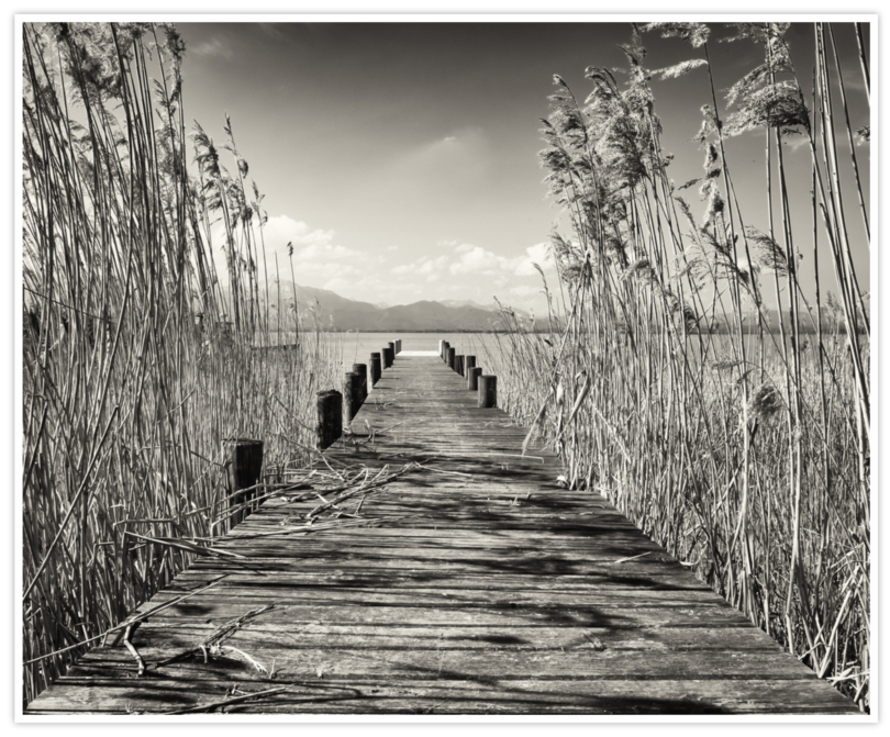 How the Right Tones Effect Your Photographs | Will Moneymaker Photography