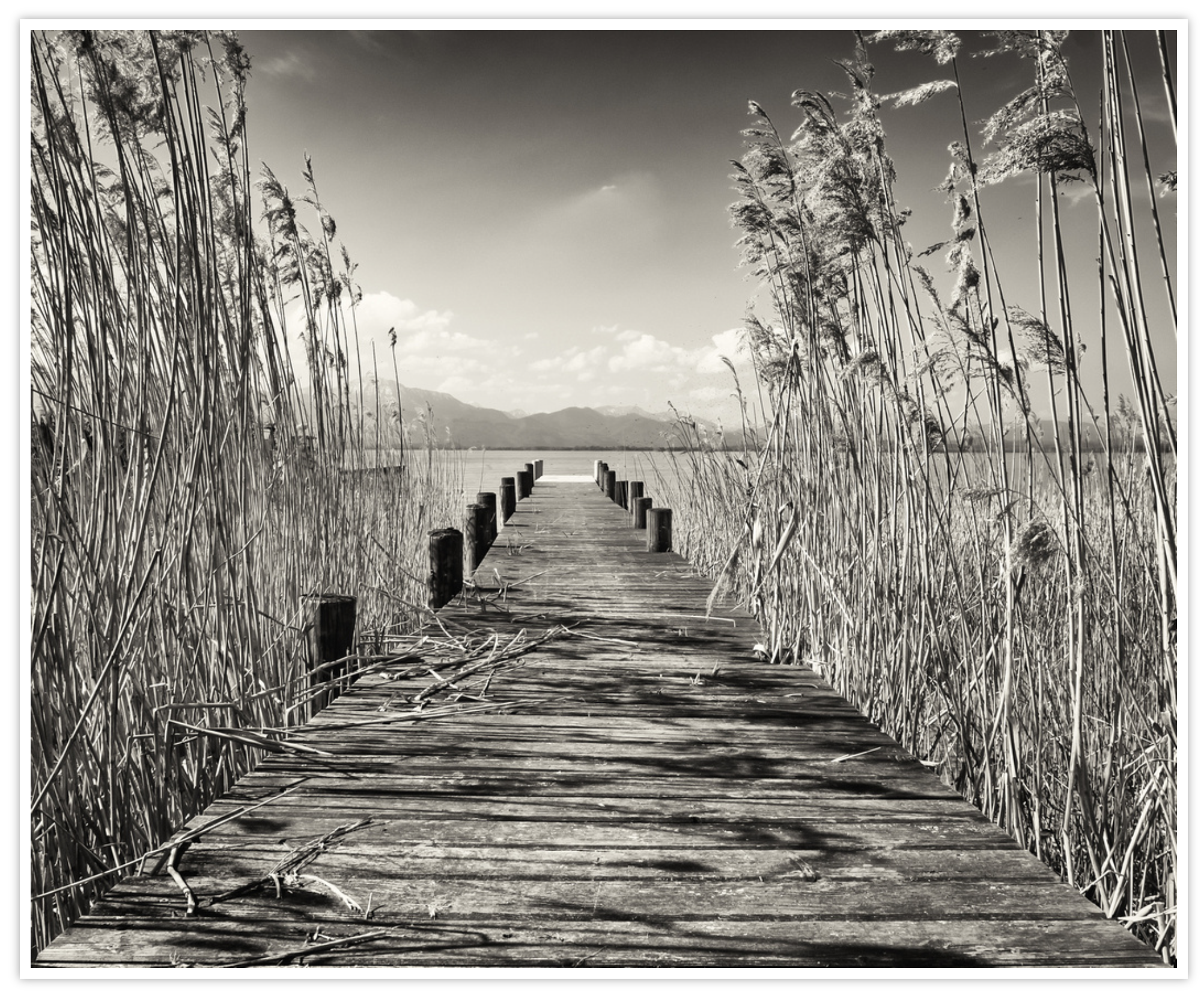 How the Right Tones Effect Your Photographs | Will Moneymaker Photography