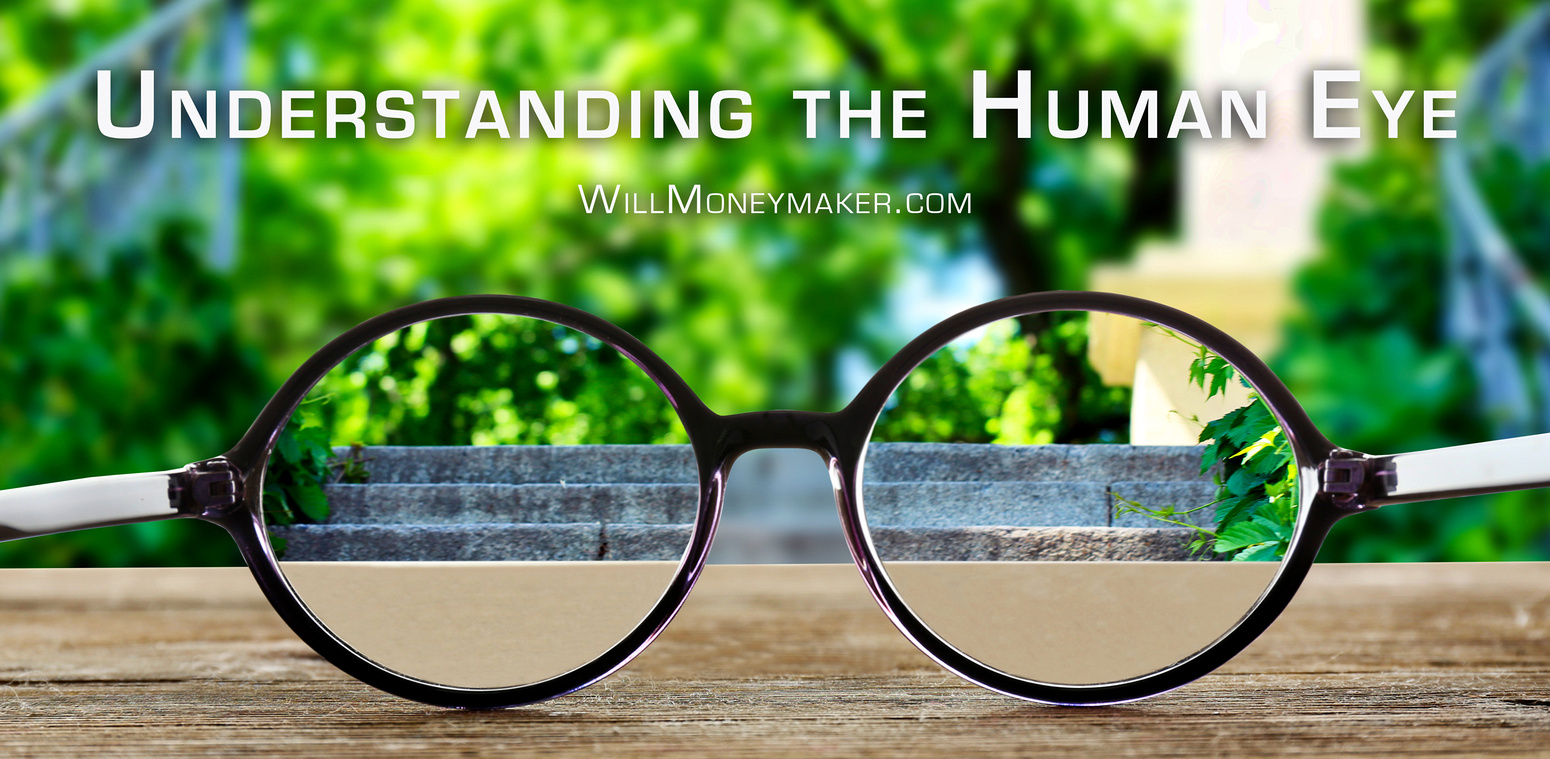 Understanding the Human Eye | Will Moneymaker Photography
