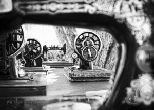 The Beauty of Brevity in Photography | Will Moneymaker Photography