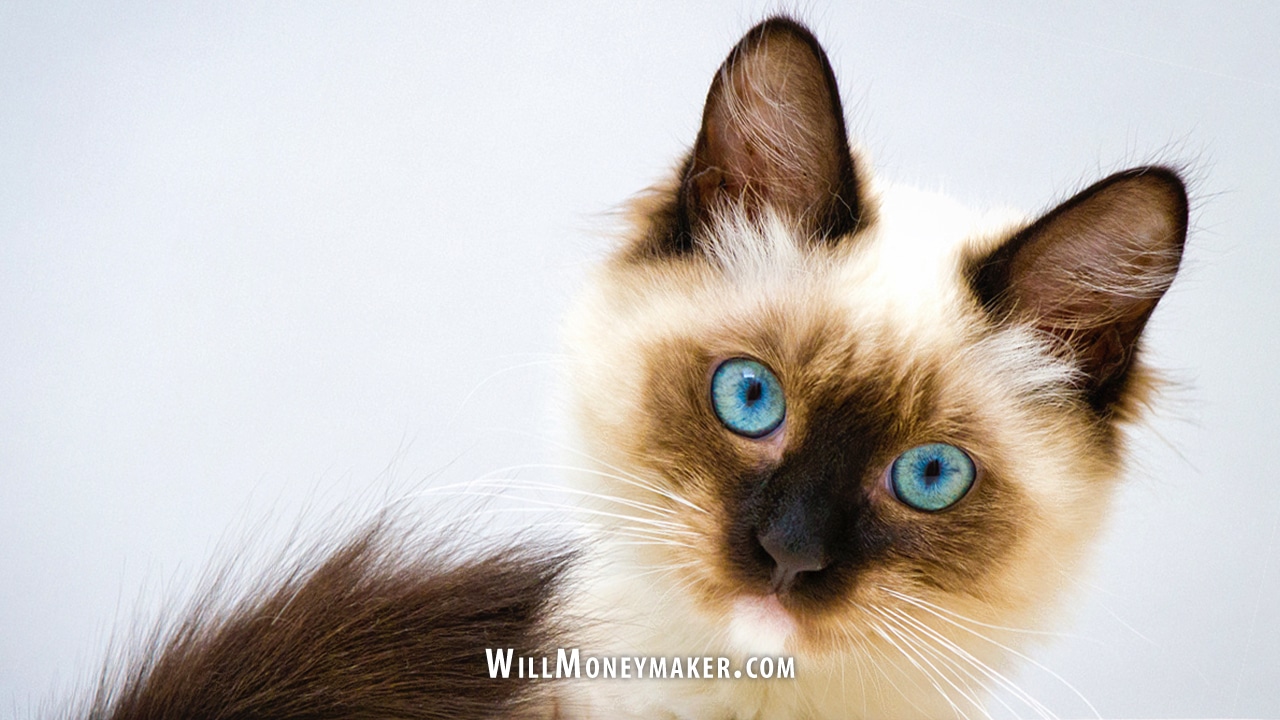 Formulas vs. Strategies in Photography – Finding Creative Balance