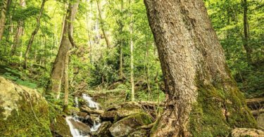 Light Sources and How to Work with Them | Will Moneymaker Photography